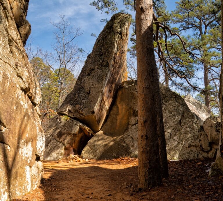 Southeast Oklahoma » Move to Oklahoma